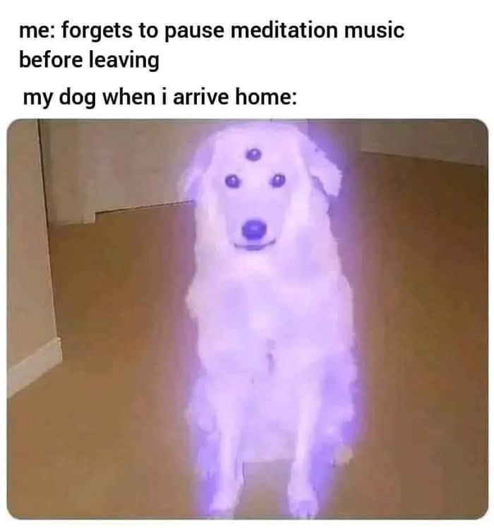 Where are my testicles, summer? - 9GAG