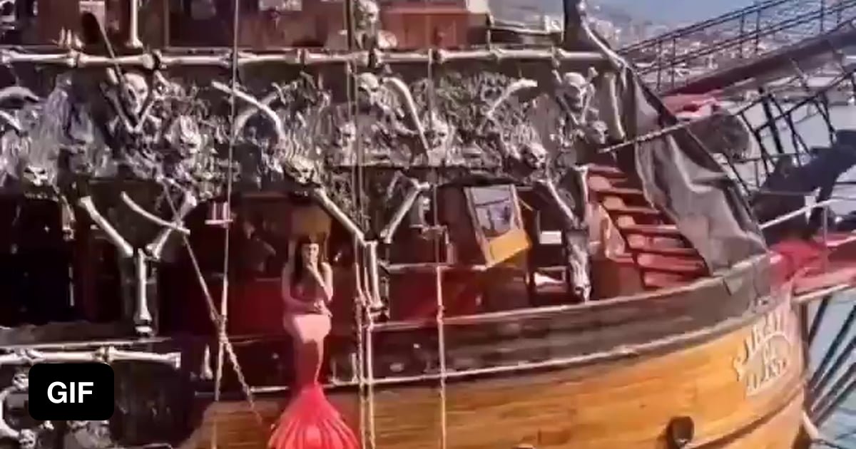 A siren having a tough day - 9GAG