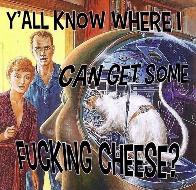 Cheese is life - 9GAG
