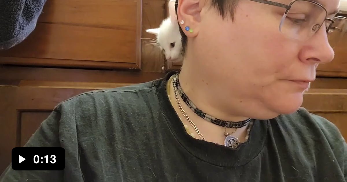 Yell? Squeak! - 9GAG