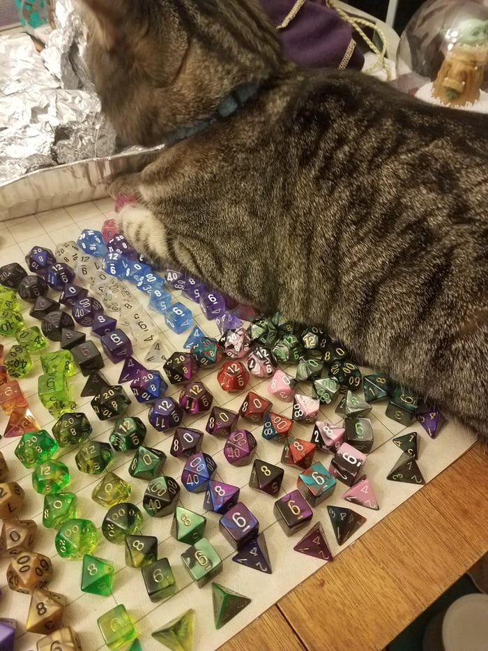 Oh you organized your dice? - 9GAG