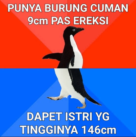 Akhirnya gue merasa besar HAHAHAHA - 9GAG