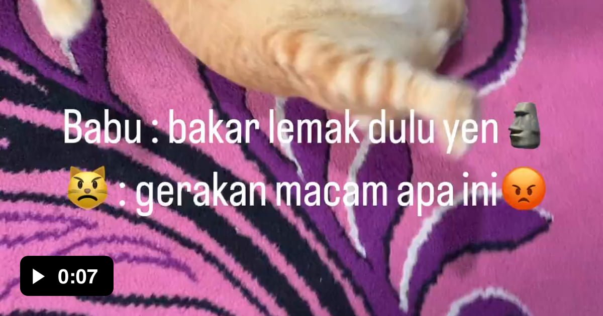 Tydack ramah, hooman - 9GAG