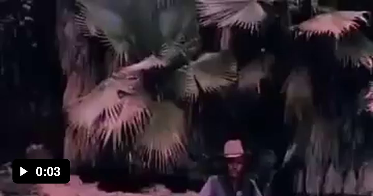 The 'Wilhelm Scream' was first used in the 1951 movie Distant Drums, as ...