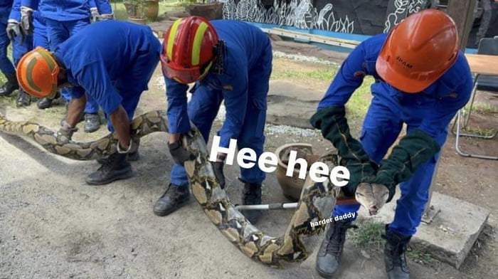 Dangerous Noodle 9gag