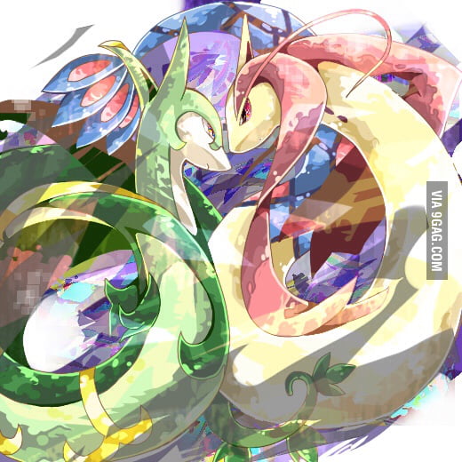 I think this is the most beautiful Pokemon shipping ever - 9GAG