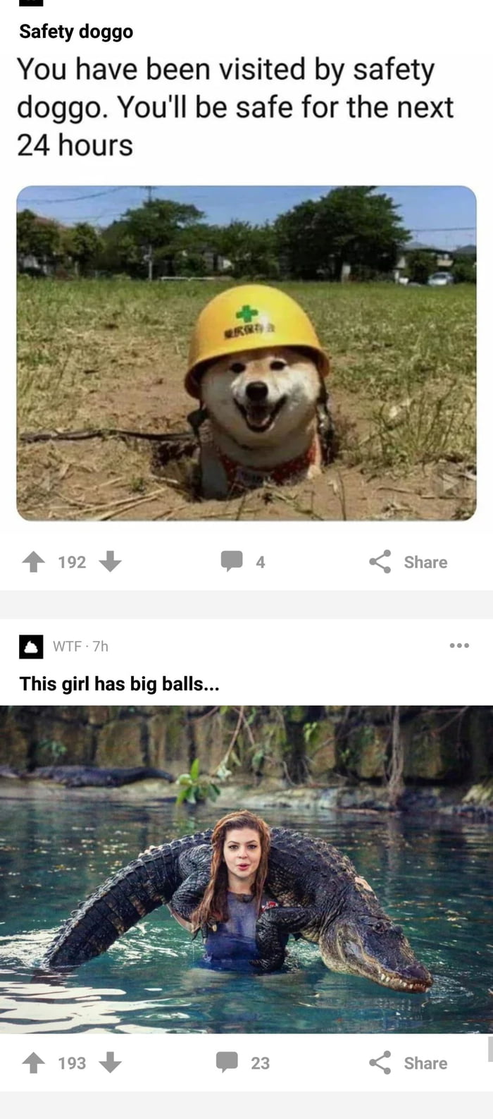 We have to find out if the girl was visited by the safety doggo - 9GAG