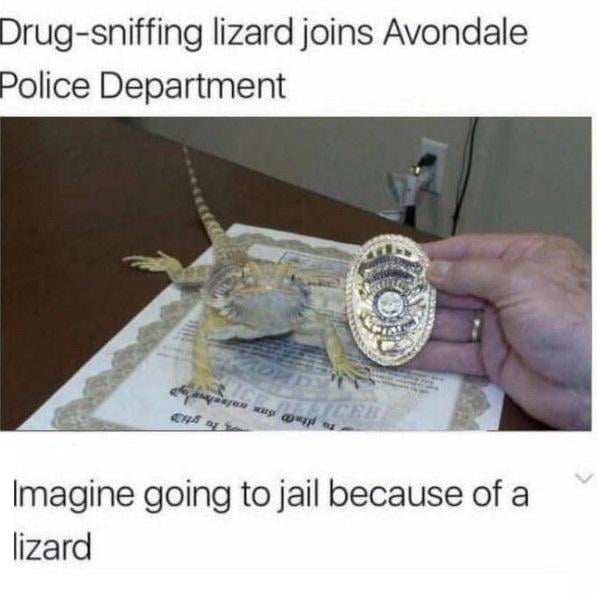 Introducing Lizard Cop - 9GAG