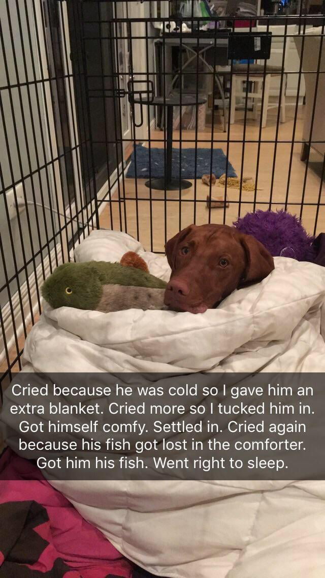 He’s too pure! - 9GAG