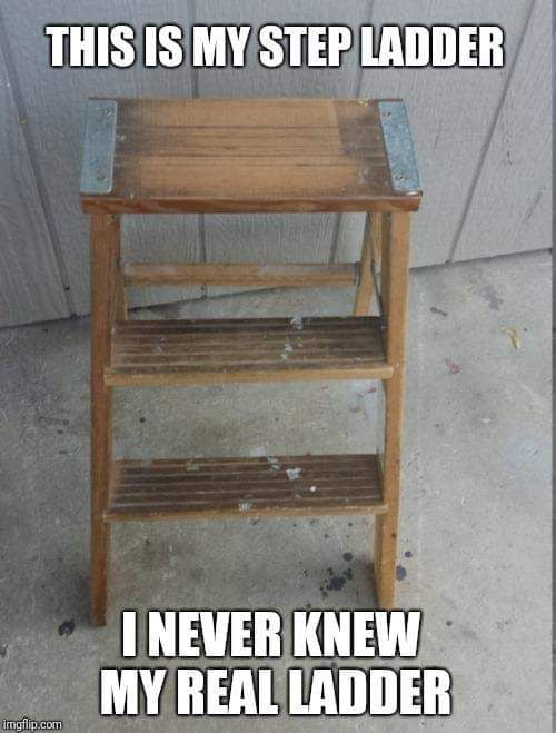 Meet my step ladder - 9GAG