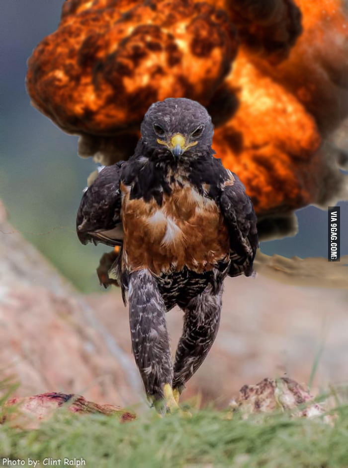 Someone demanded an explosion... - 9GAG