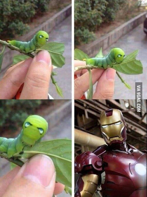 Iron moth - 9GAG