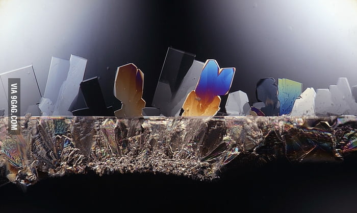 Sugar at 125x zoom - 9GAG