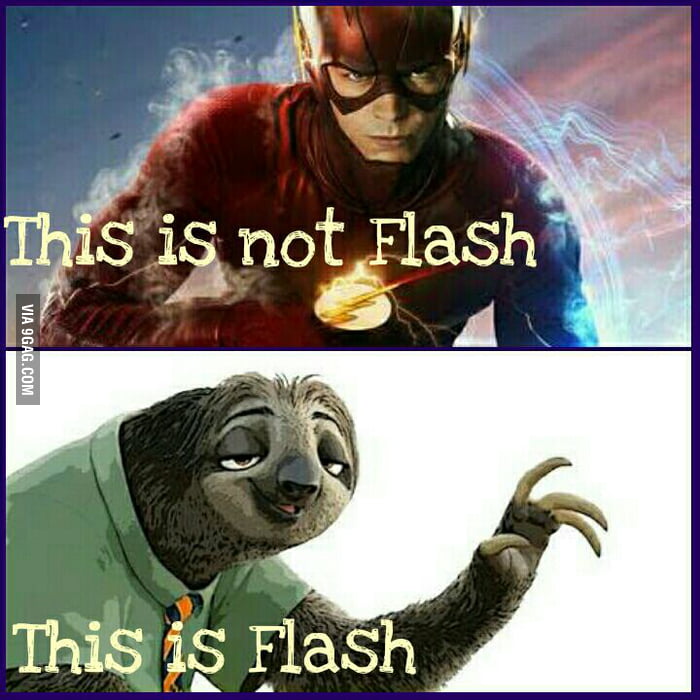 Flash Flash Hundred Yard Dash..... Zootopia fans will know.... - 9GAG
