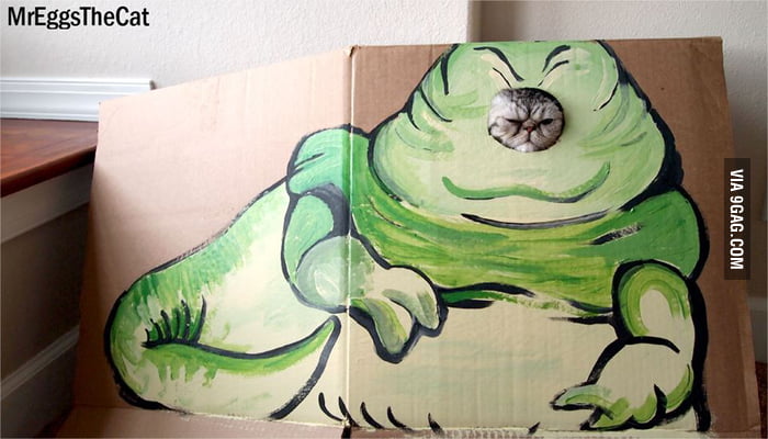 Jabba The Hut Cat