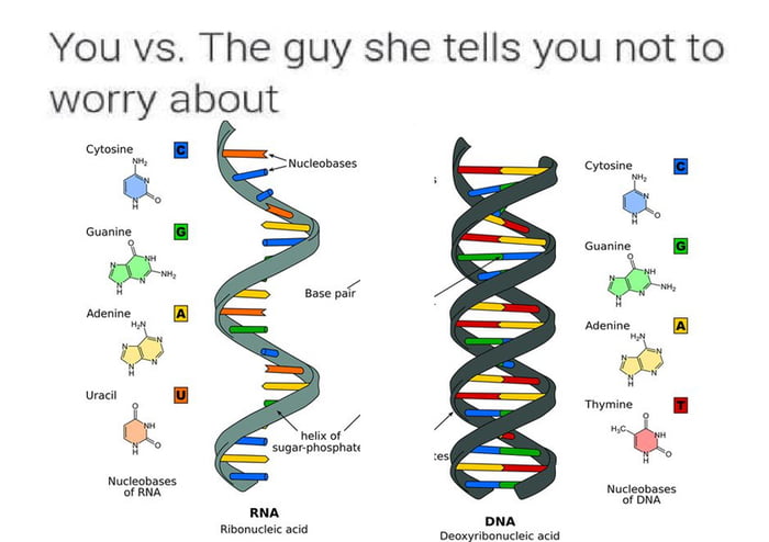 A biology meme i made - 9GAG