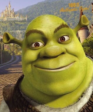 I just realize that Shrek is bald...did he had hair in his early years ...