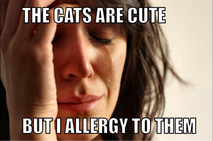 Thanks Mom 9gag
