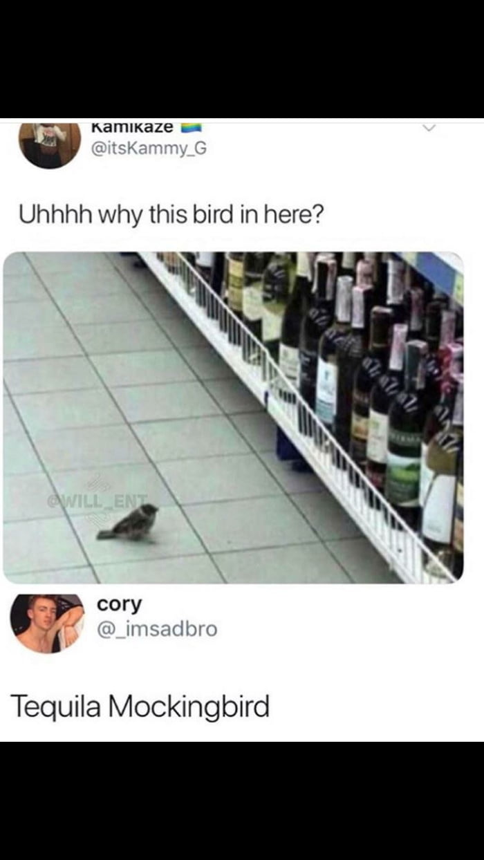 Tequila mockingbird - 9GAG