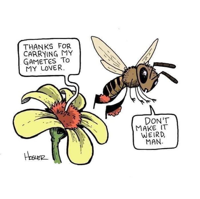 Funny science....pollination - 9GAG