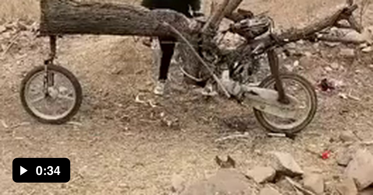 Motorcycle made from tree - 9GAG