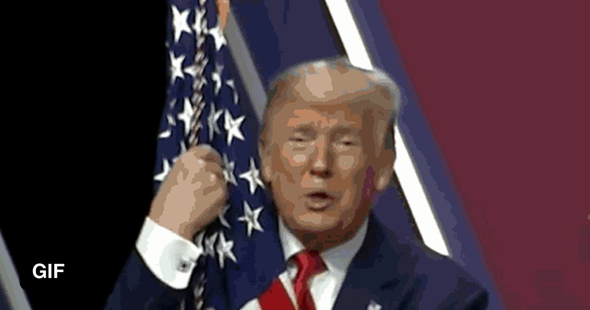 I just wonder what would Trump do (WWTD) - 9GAG