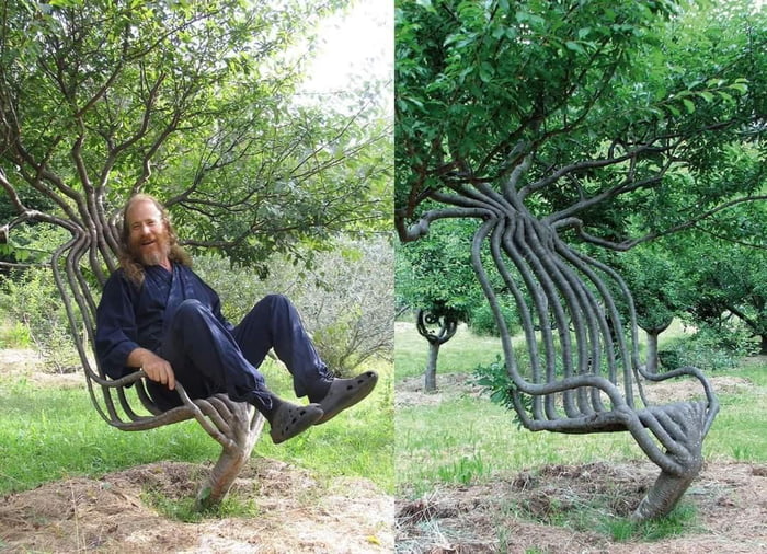 This artist spent eight years to create this tree-chair. Using methods ...