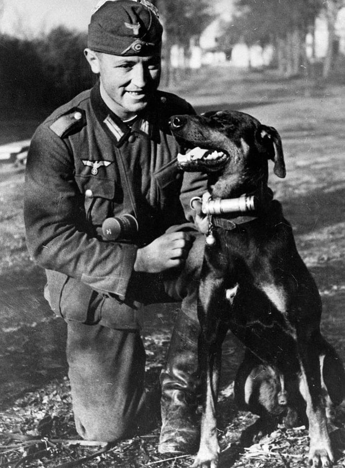 German soldier with a messenger dog, 1939 - 9GAG