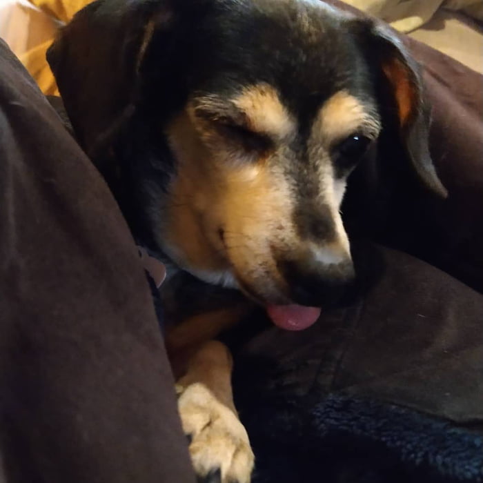 Zelda's derp face - 9GAG