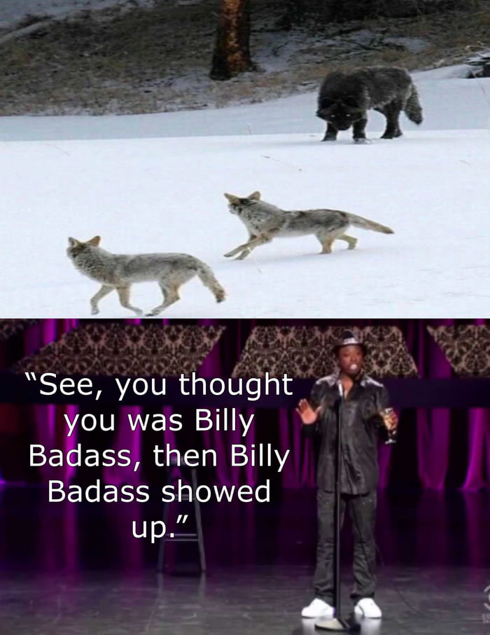 Billy Badass - 9GAG