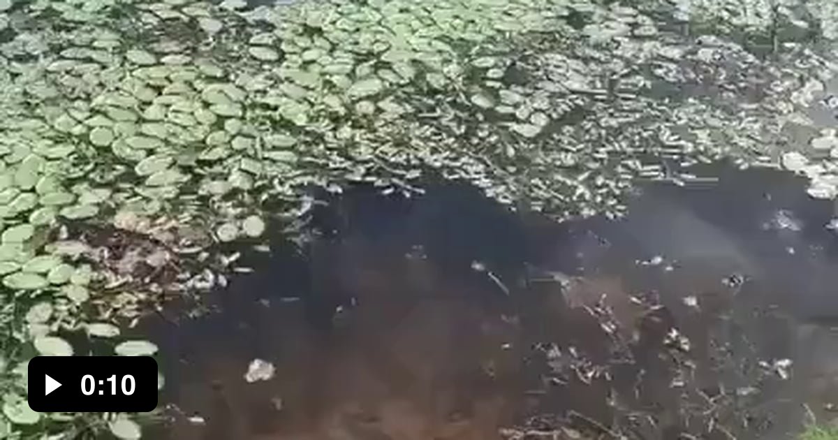 I'm alright..just burped up some vomit.. - 9GAG