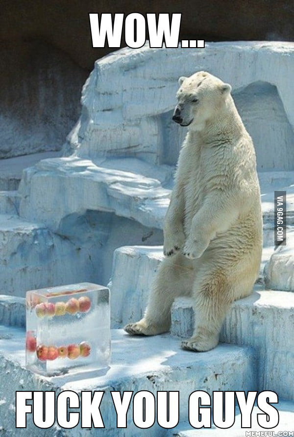 I feel for this poor bear... - 9GAG