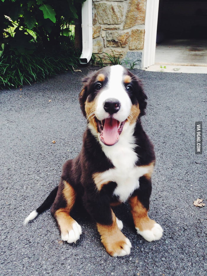 I swear he's real! - 9GAG