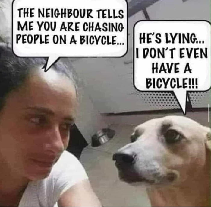 Dogs will be dogs. - 9GAG