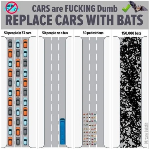 Cars are dumb. Go bats! - 9GAG