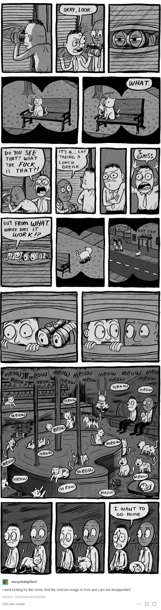 I GUESS THIS WAS THE ORIGINAL COMIC - 9GAG