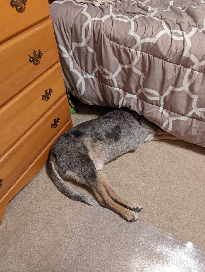 Whatever makes him happy... - 9GAG