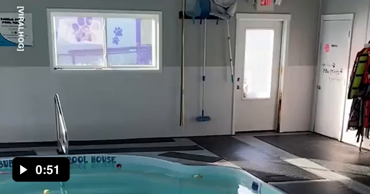 Doggy pool gets filled during break time - 9GAG