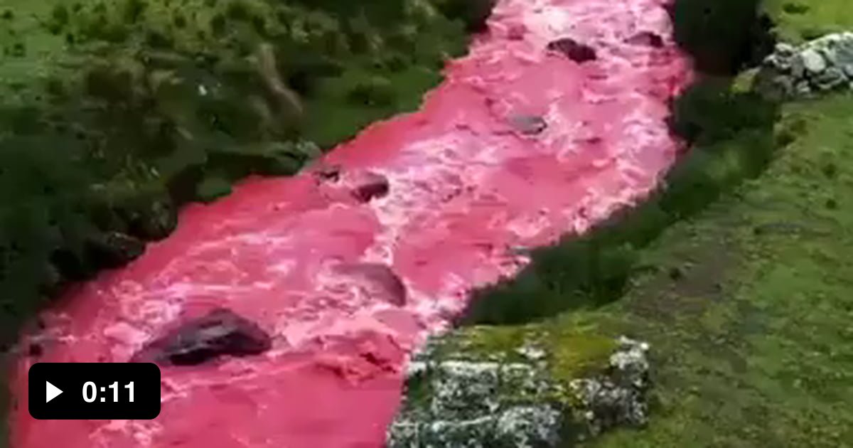 It is said the Nile turned to blood in the first plague of Egypt, red ...