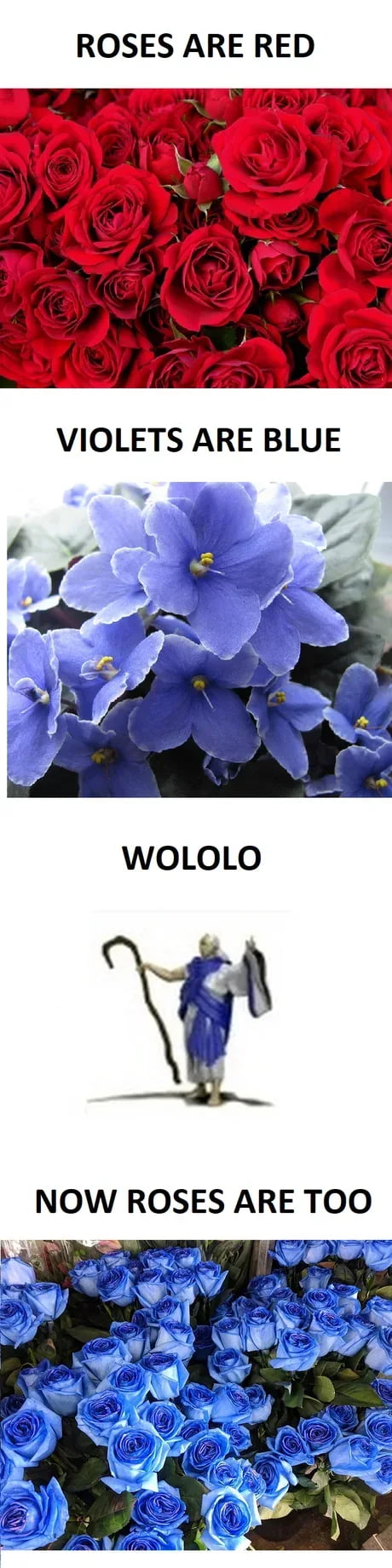 Wololo! - 9GAG