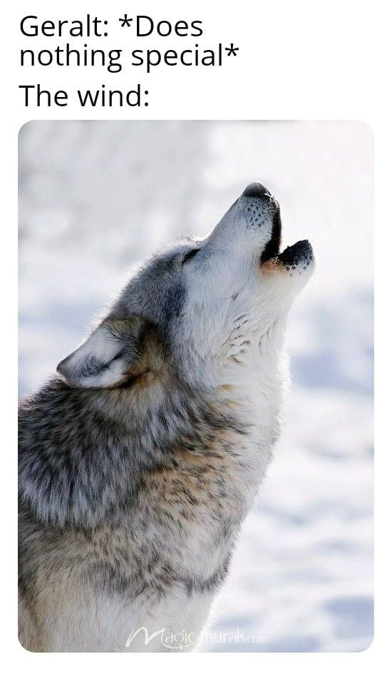 Wind's howling - 9GAG