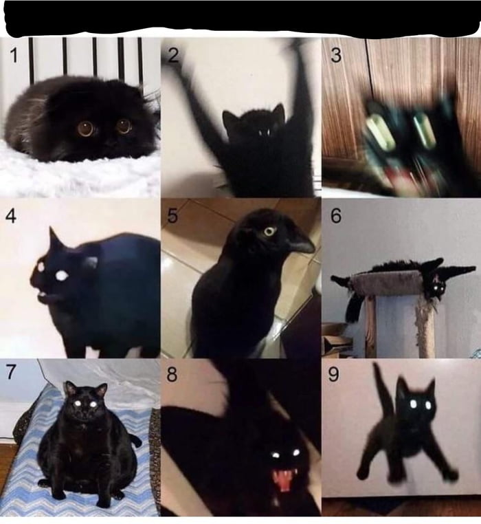 Typical murder floof behaviour: Randomly 1,2, 3, 6 or 8 every 3 to 4 ...