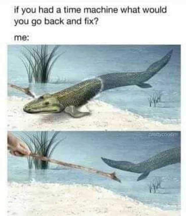 Bad quality meme for good quality enjoyers. (I know it doesn't make ...