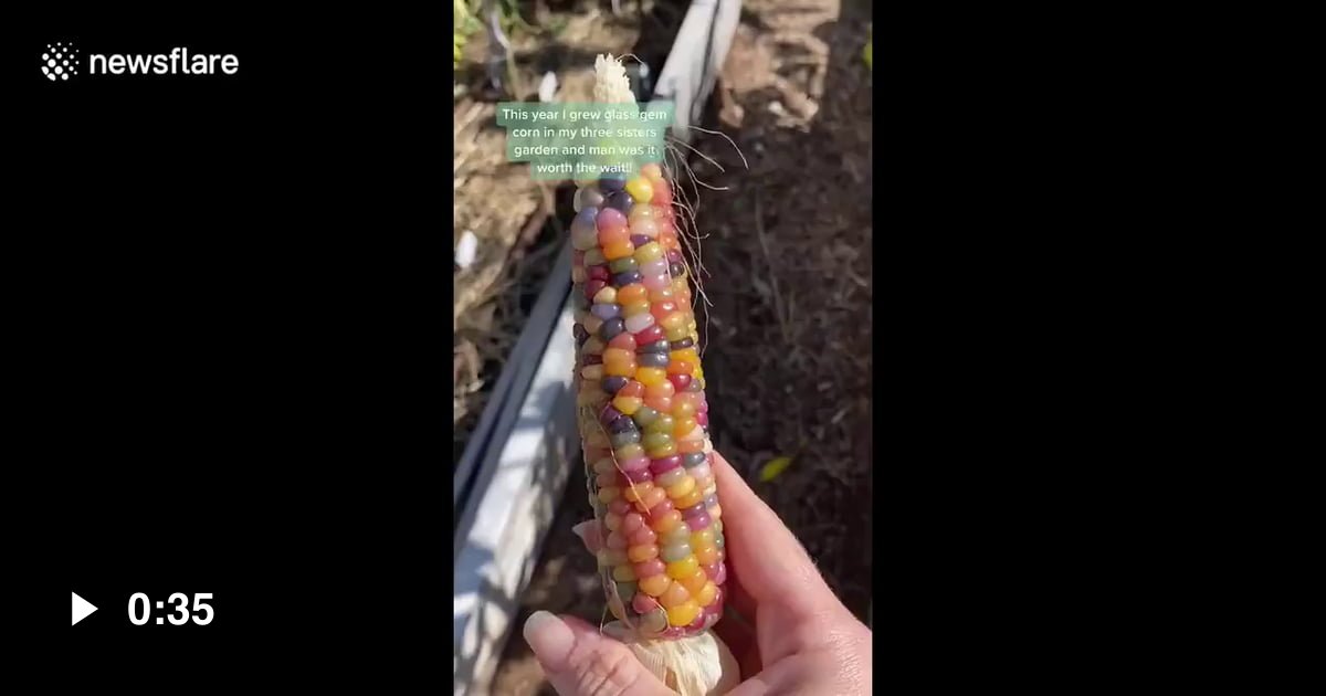 Crystal from Vancouver Island, Canada shows off the glass gem corn she ...