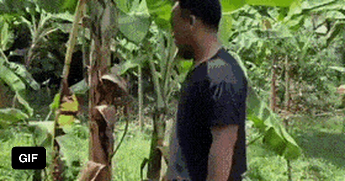 One Hit Knockout - 9GAG