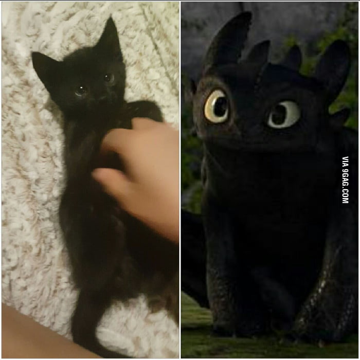 Why I called him toothless - 9GAG