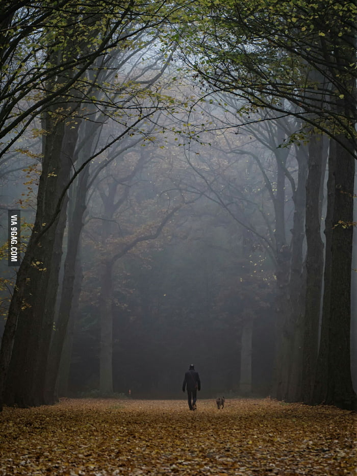 My favourite season for taking long walks. - 9GAG