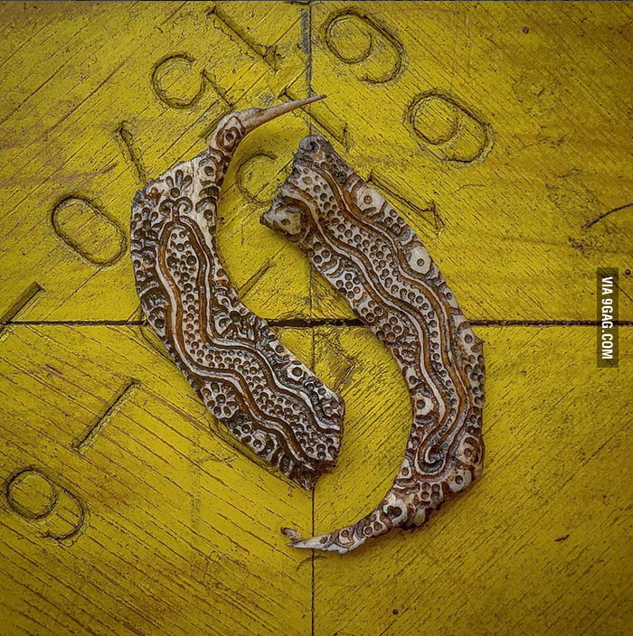 This girl had her ribs removed this summer and got to keep them. She ...