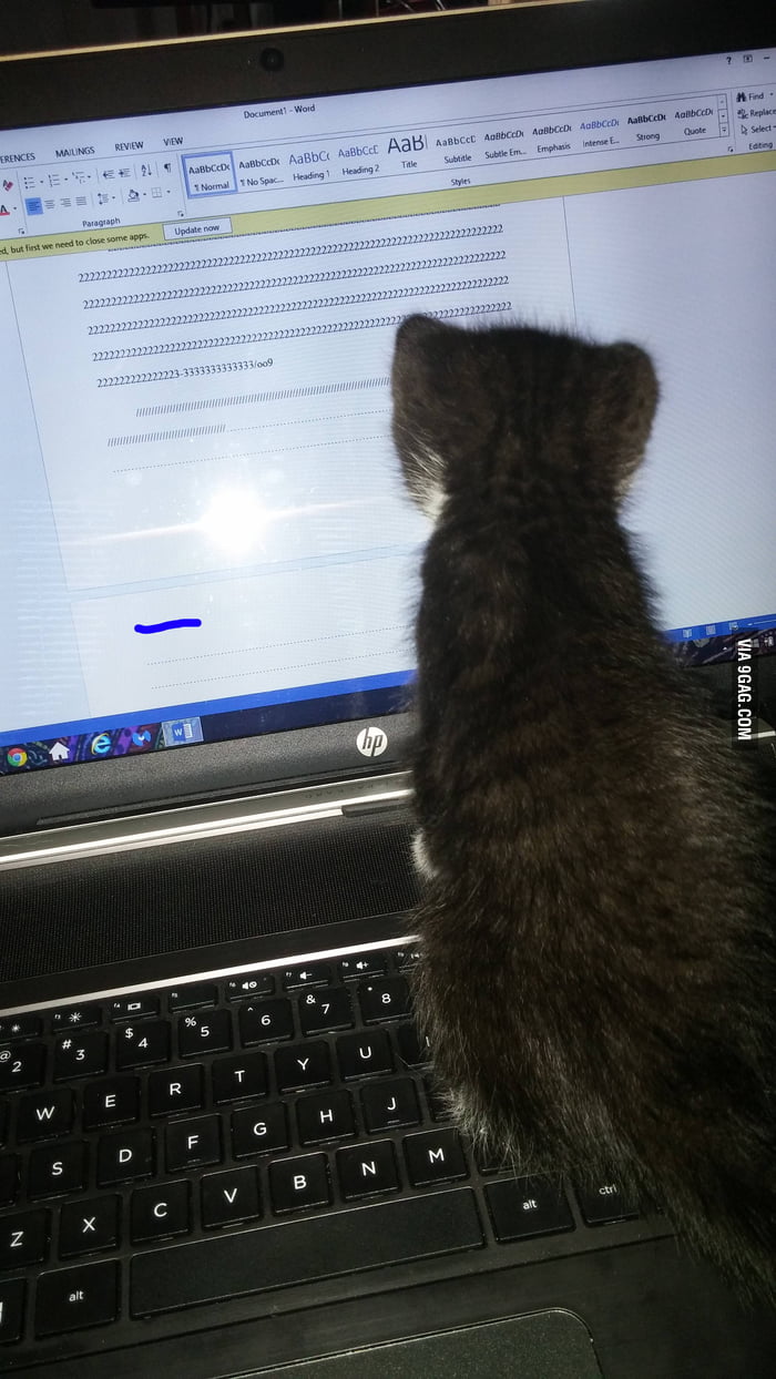 He's intently watching the rows and rows of text he's typing. Doesn't ...