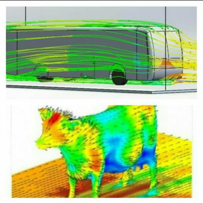 Bus aerodynamics vs Cow aerodynamics - 9GAG